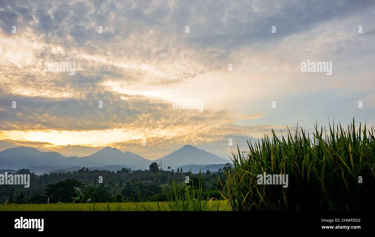 Tropical countryside view in the morning Stock Photo - Alamy