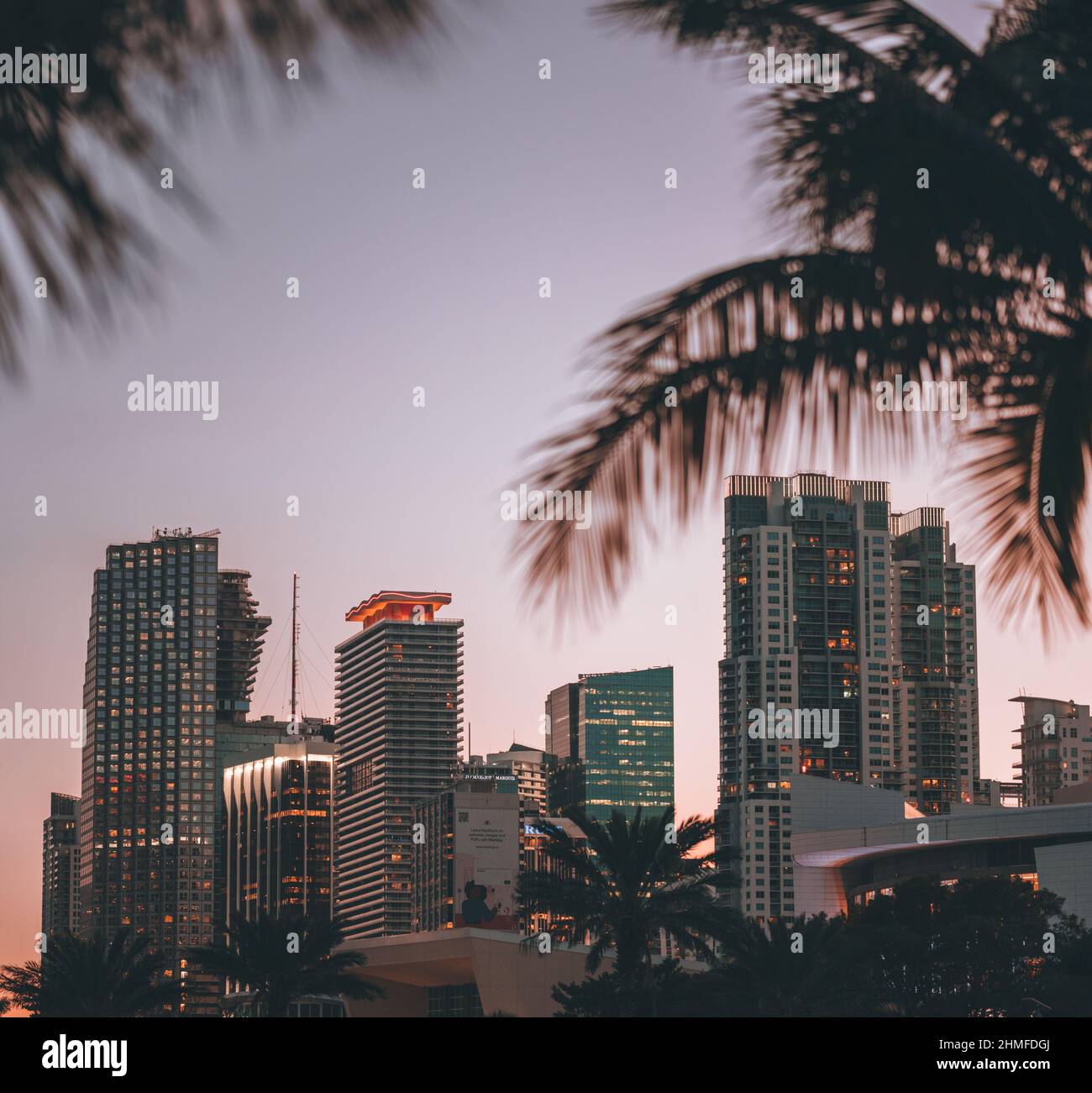 Downtown miami palms buildings lights sunset Stock Photo - Alamy