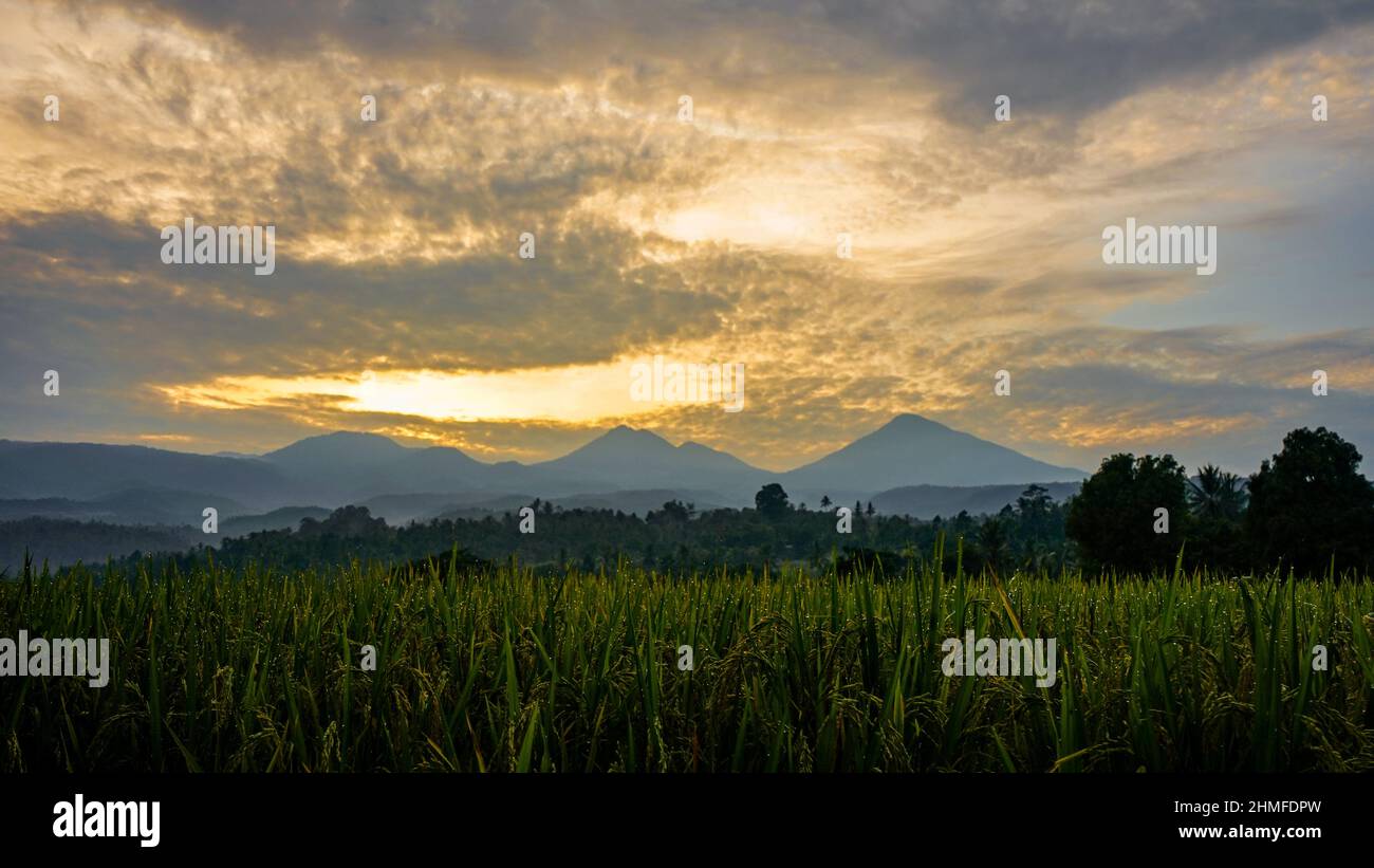 Tropical countryside view in the morning Stock Photo - Alamy