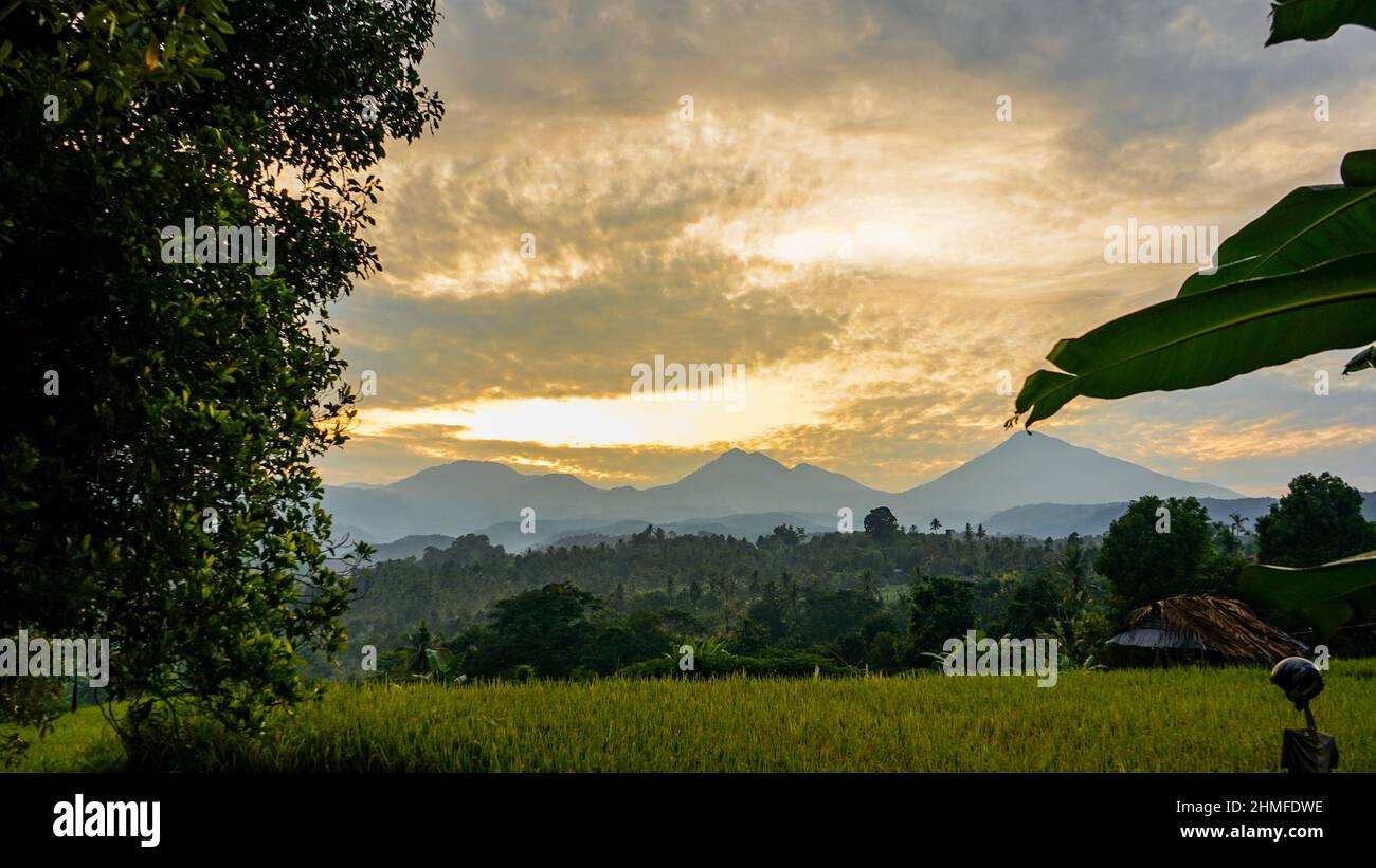 Tropical countryside view in the morning Stock Photo - Alamy