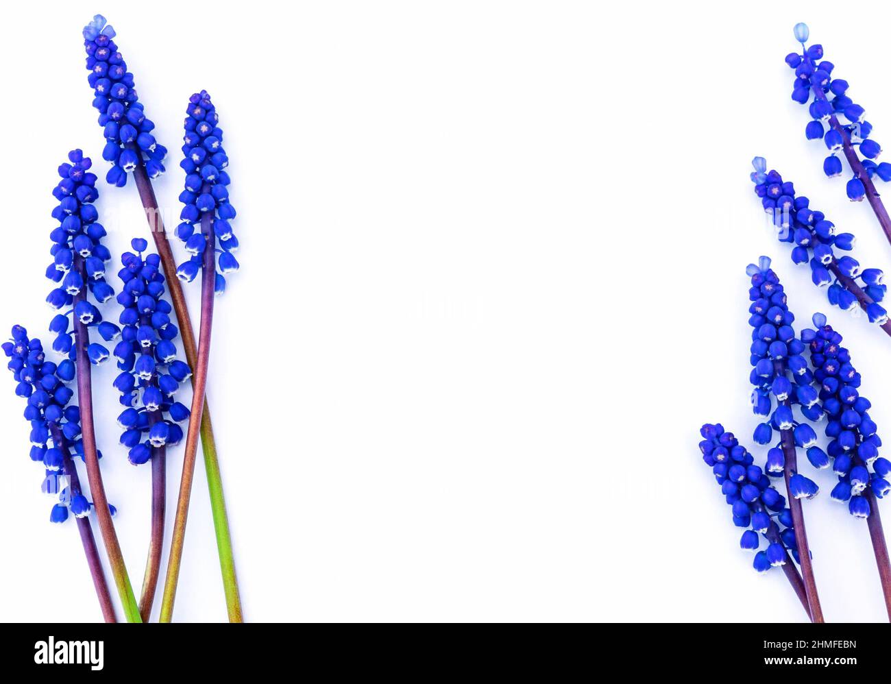 Cute delicate bouquet of blue spring flowers with copy space for design ...