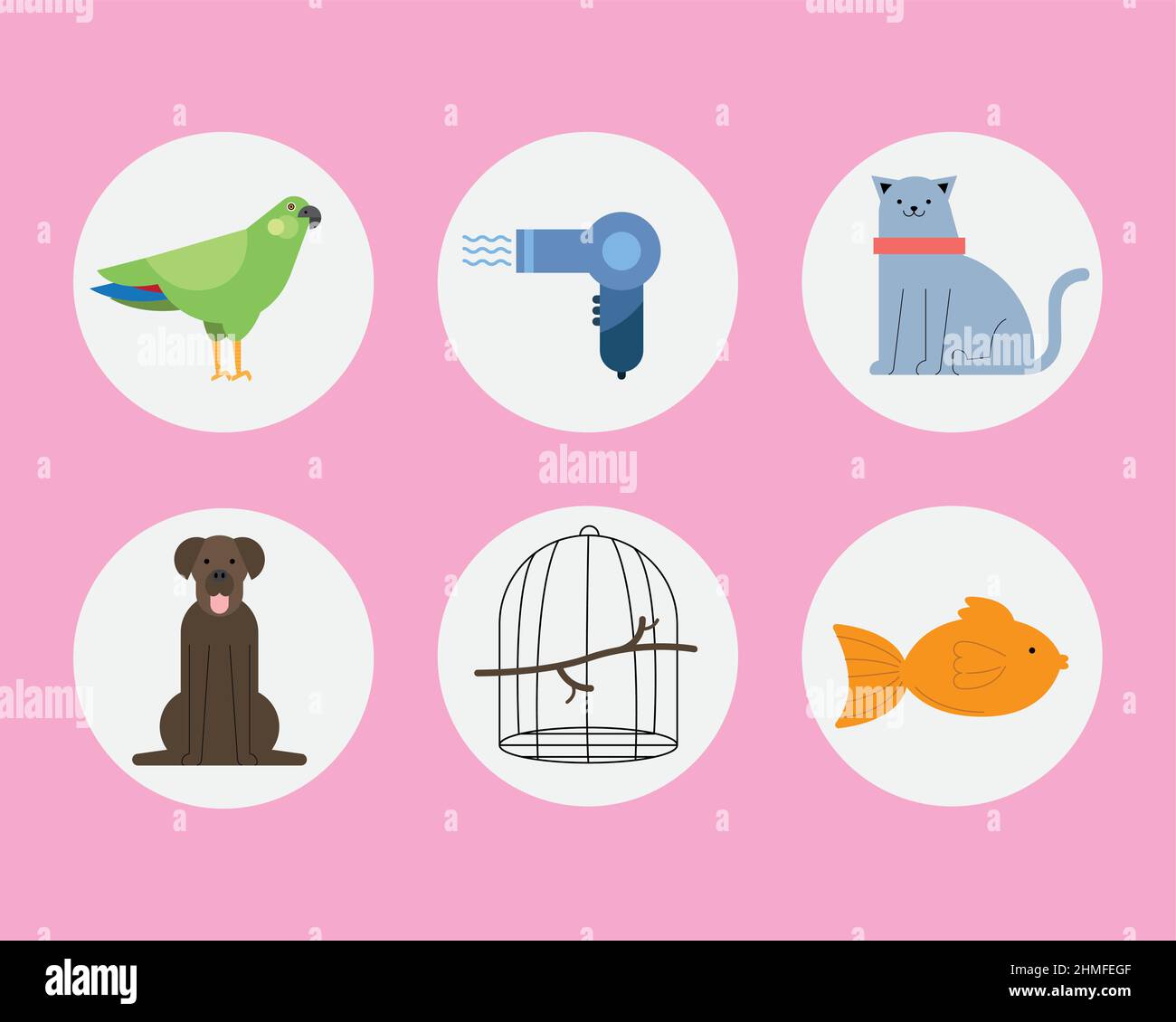 Veterinary treatment parrot Stock Vector Images - Alamy