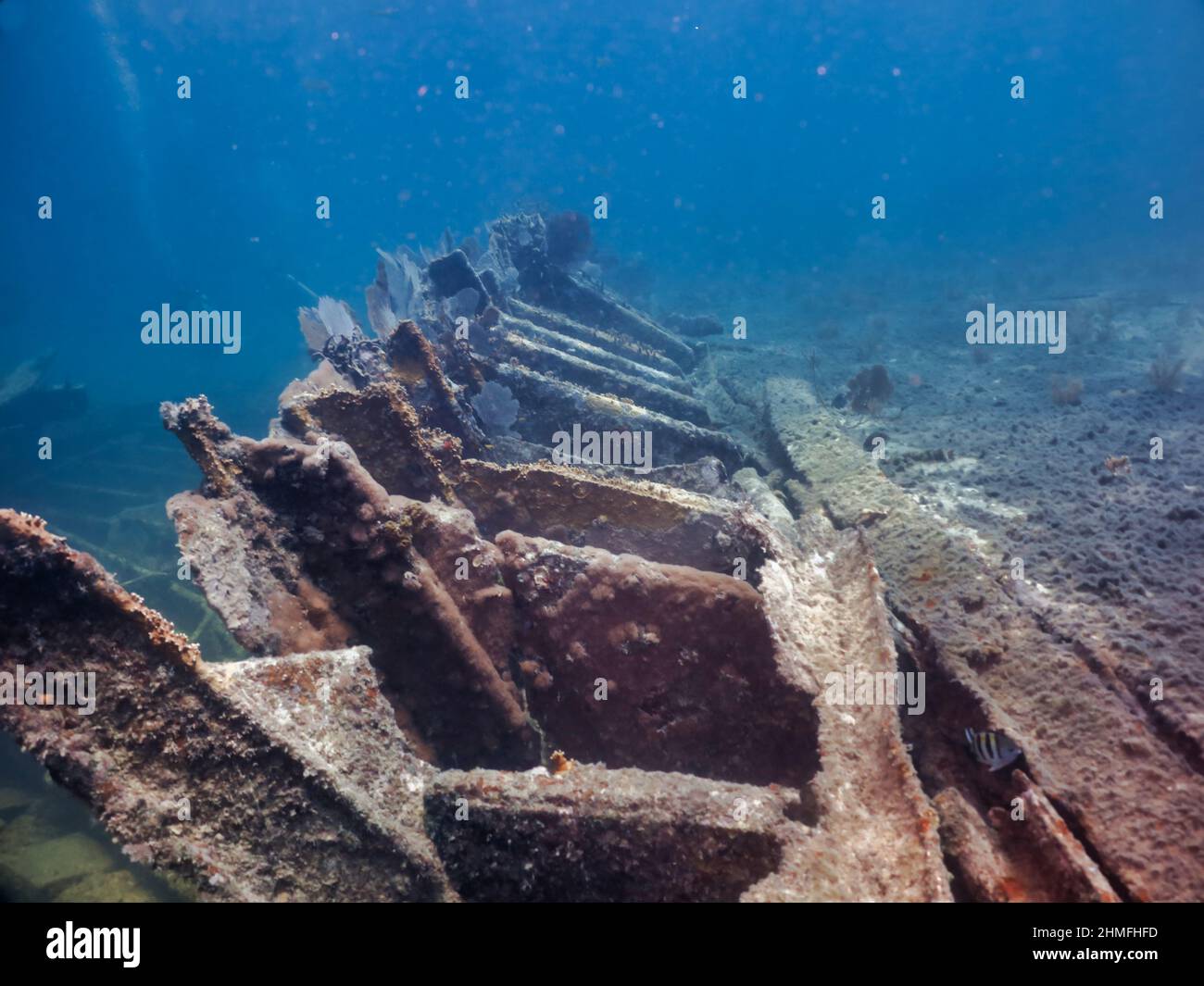 Beautiful underwater world scuba drive with coral reef in the deep blue ...