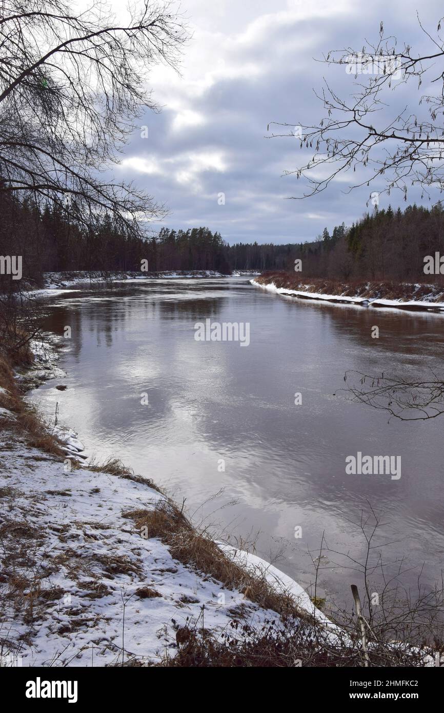 Vertical shot of half-frozen lake in a forest on a winter day Stock ...