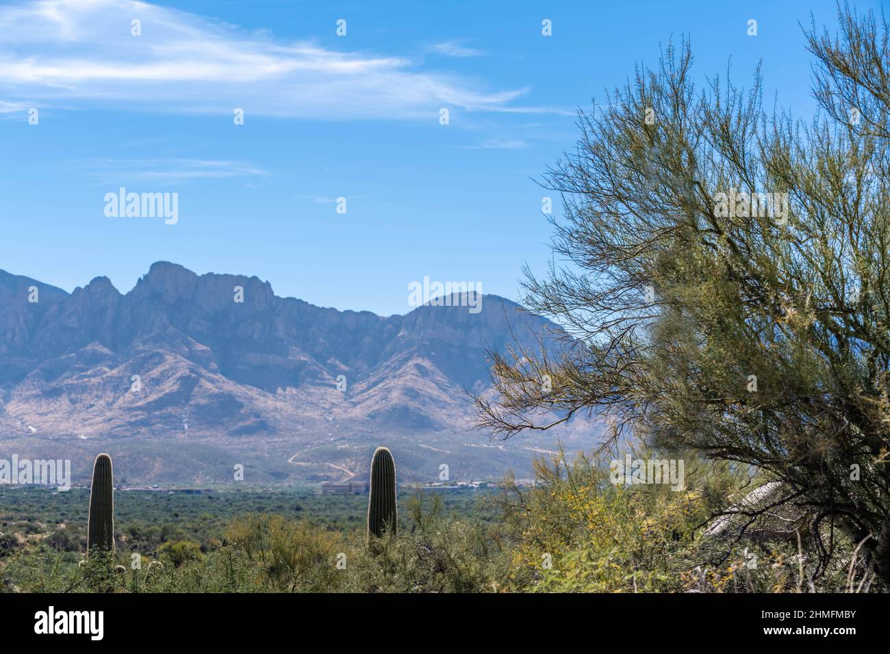 An overlooking view of nature in Tucson, Arizona Stock Photo - Alamy