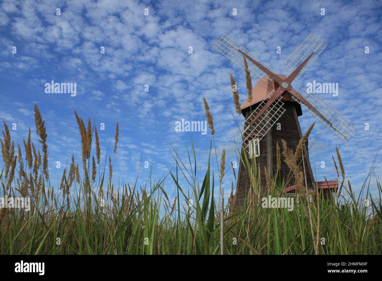 a windmill in the middle of a meadow with a beautiful blue sky ...