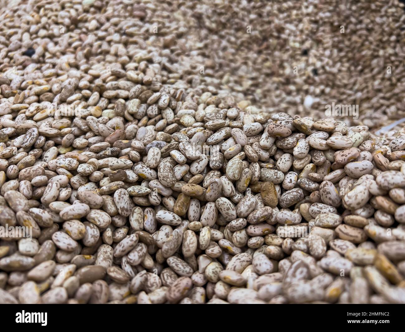 Close up to Pile Pinto beans Buck ,background , Texture and Pattern ...