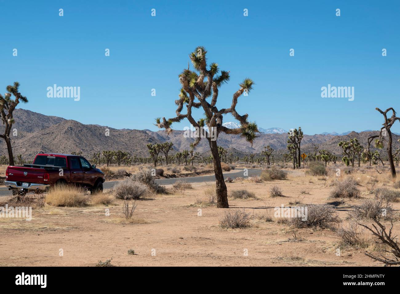 Joshua Tree National Park is home to stunning landscapes filled with ...