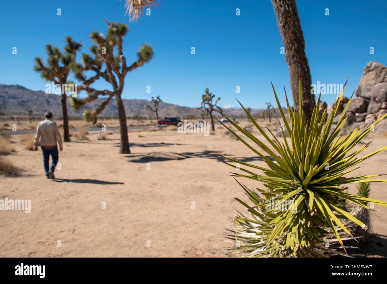 Joshua Tree National Park is home to stunning landscapes filled with ...