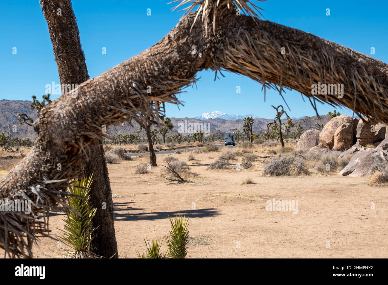 Joshua Tree National Park is home to stunning landscapes filled with ...