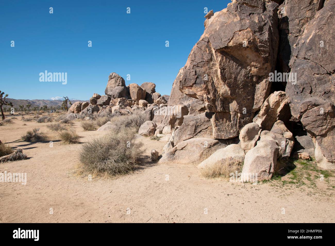 Joshua Tree National Park is home to stunning landscapes filled with ...