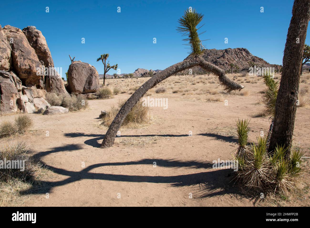 Joshua Tree National Park is home to stunning landscapes filled with ...