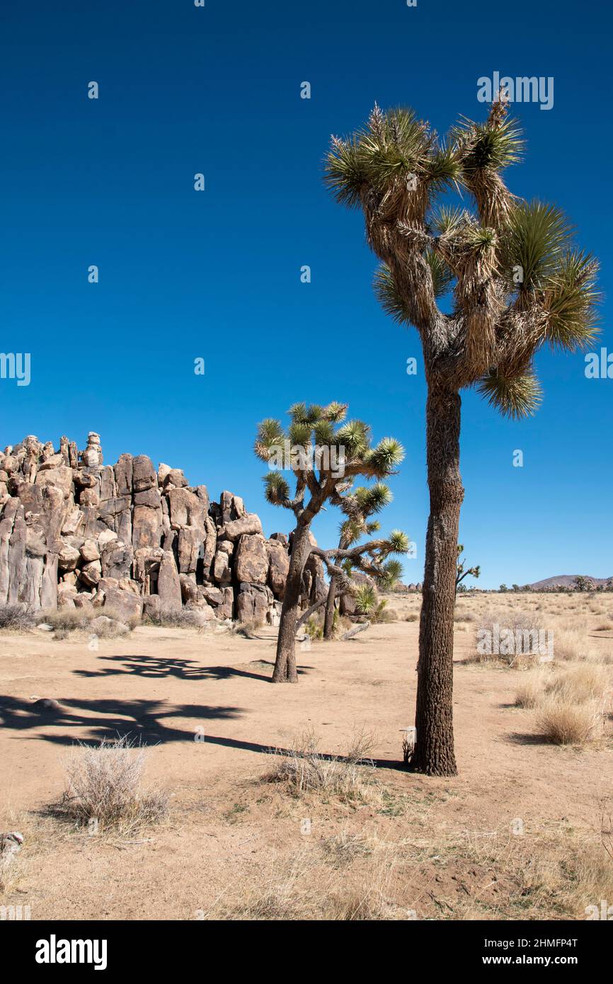 Joshua Tree National Park is home to stunning landscapes filled with ...