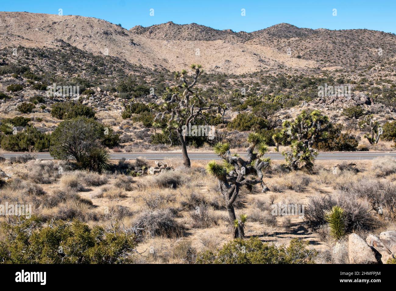 Joshua Tree National Park is home to stunning landscapes filled with ...