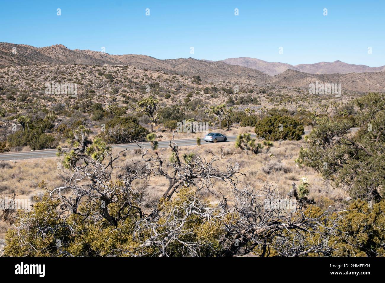 Joshua Tree National Park is home to stunning landscapes filled with ...