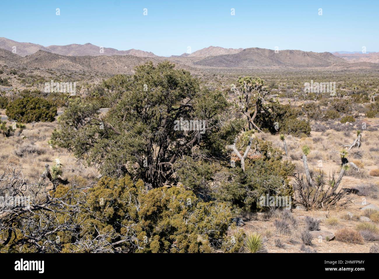Joshua Tree National Park is home to stunning landscapes filled with ...