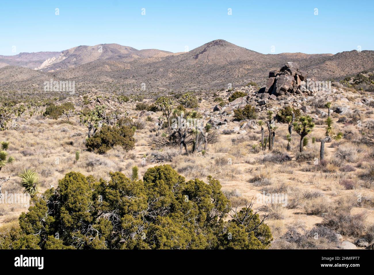 Joshua Tree National Park is home to stunning landscapes filled with ...