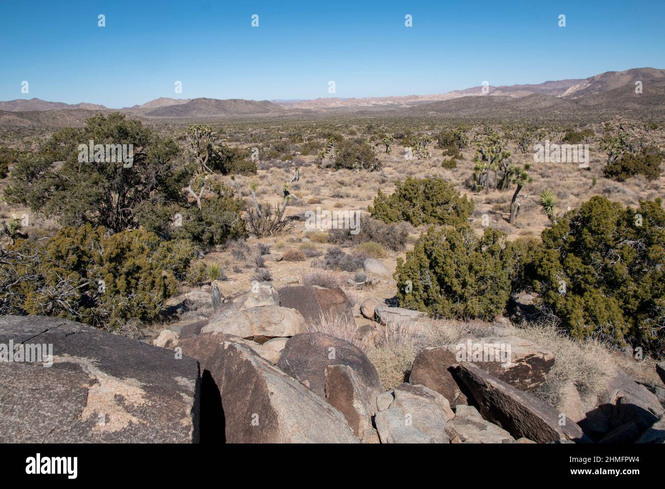 Joshua Tree National Park is home to stunning landscapes filled with ...