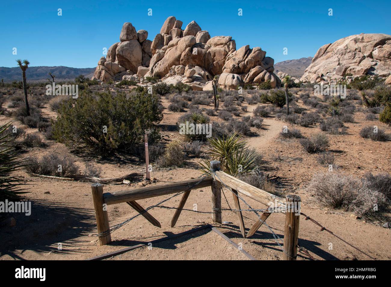 Joshua Tree National Park is home to stunning landscapes filled with ...