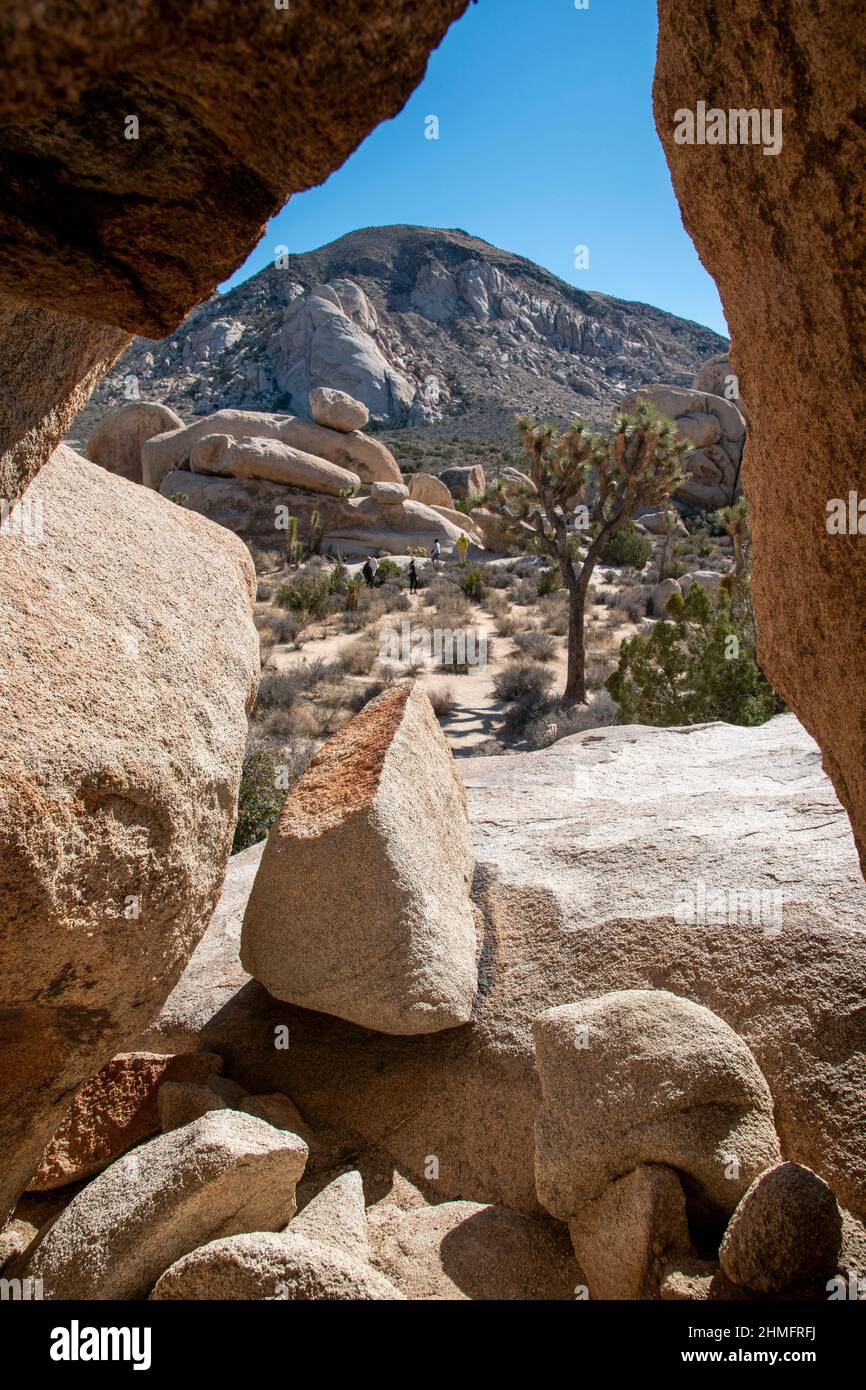 Joshua Tree National Park is home to stunning landscapes filled with ...