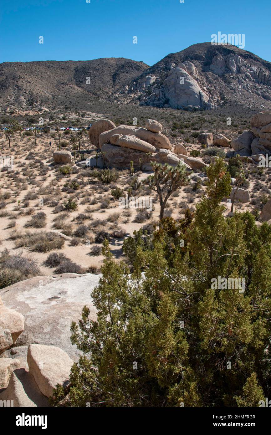 Joshua Tree National Park is home to stunning landscapes filled with ...