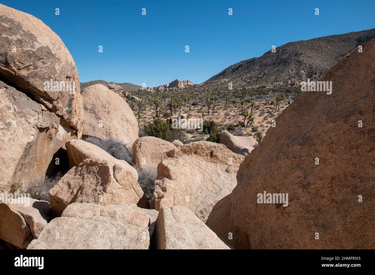 Joshua Tree National Park is home to stunning landscapes filled with ...