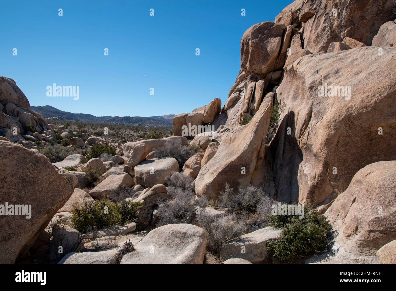 Joshua Tree National Park is home to stunning landscapes filled with ...