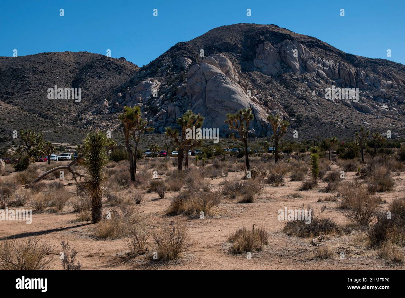 Joshua Tree National Park is home to stunning landscapes filled with ...