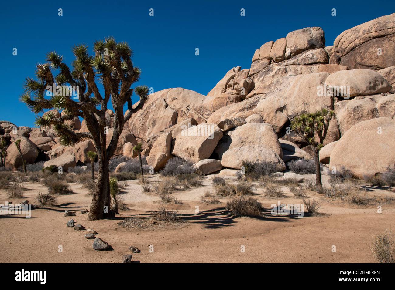 Joshua Tree National Park is home to stunning landscapes filled with ...