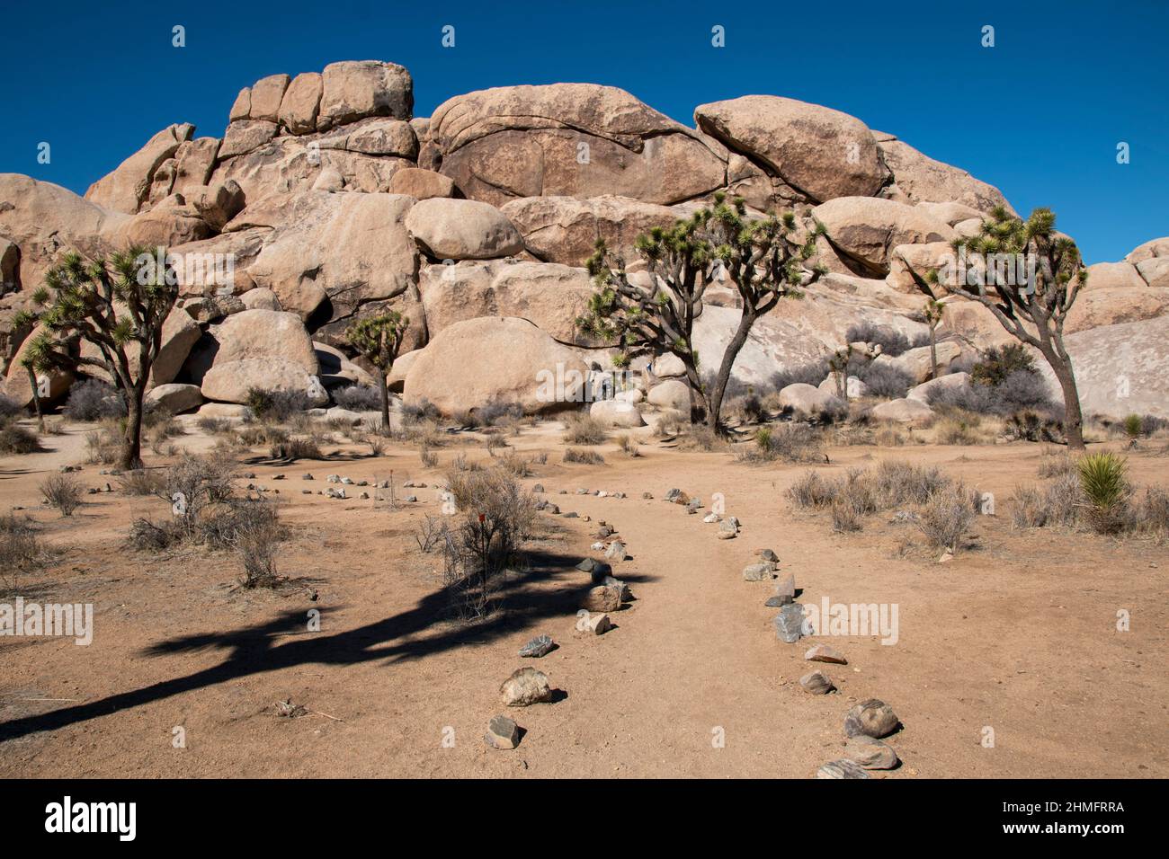 Joshua Tree National Park is home to stunning landscapes filled with ...