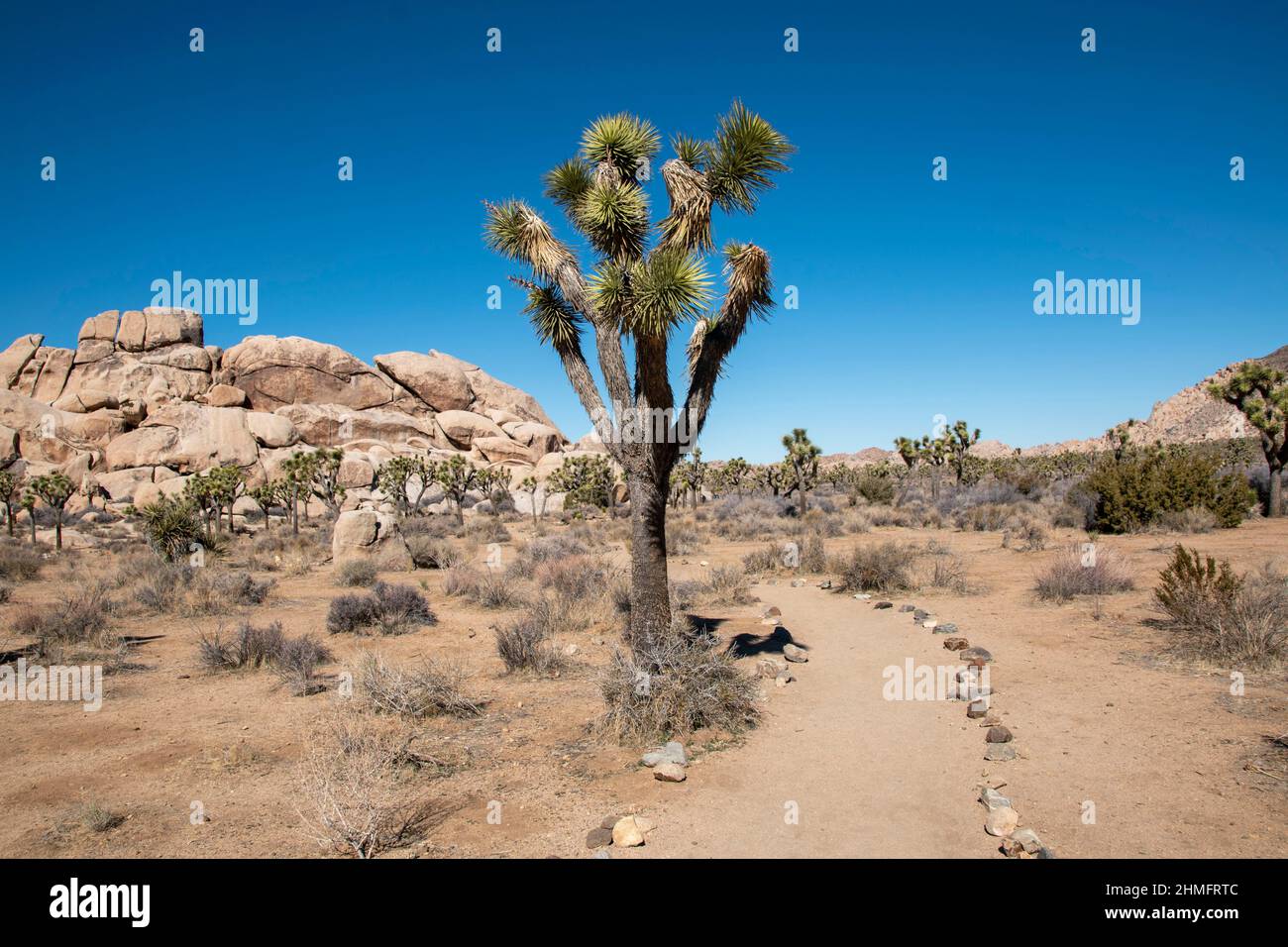 Joshua Tree National Park is home to stunning landscapes filled with ...