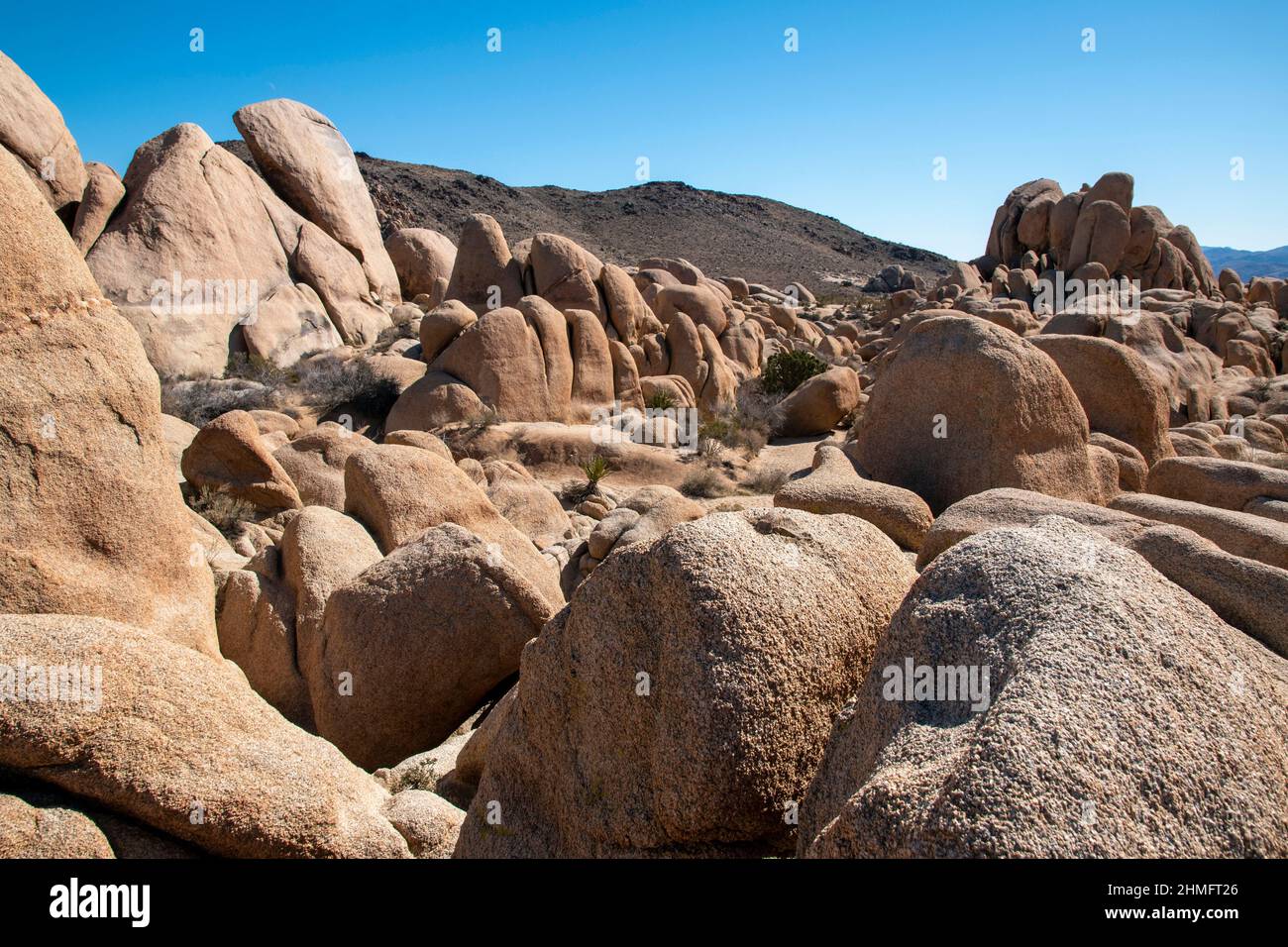 Joshua Tree National Park is home to stunning landscapes filled with ...