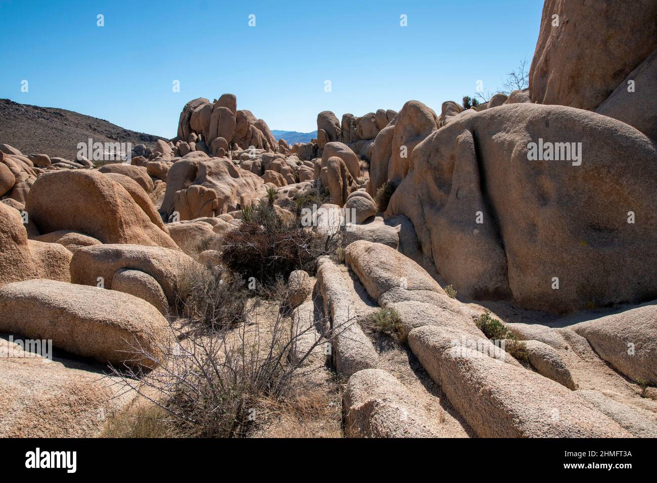Joshua Tree National Park is home to stunning landscapes filled with ...
