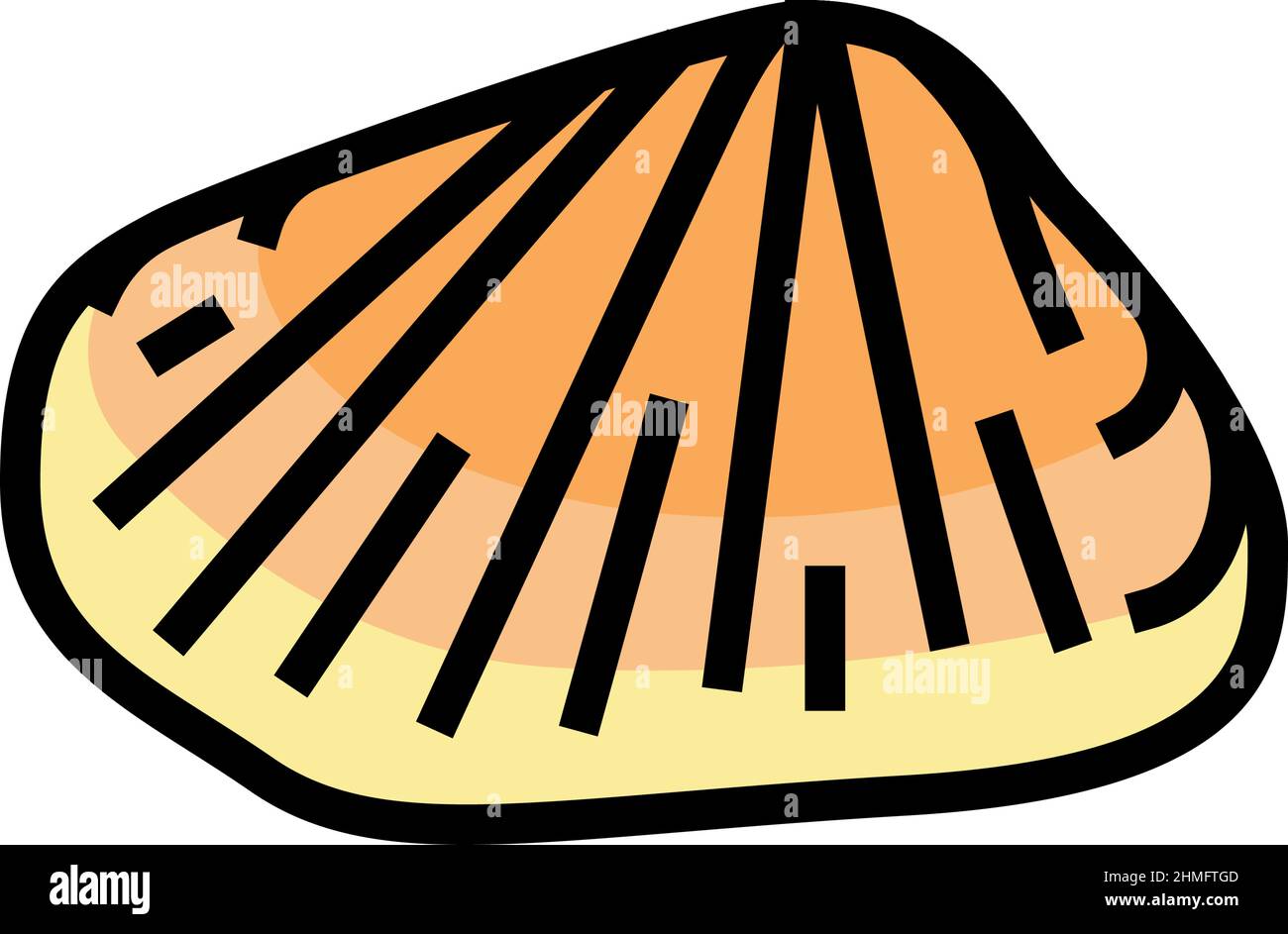 Razor clam illustration hi-res stock photography and images - Alamy