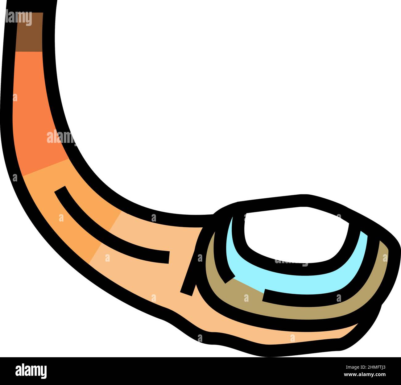 Geoduck clam Stock Vector Images - Alamy