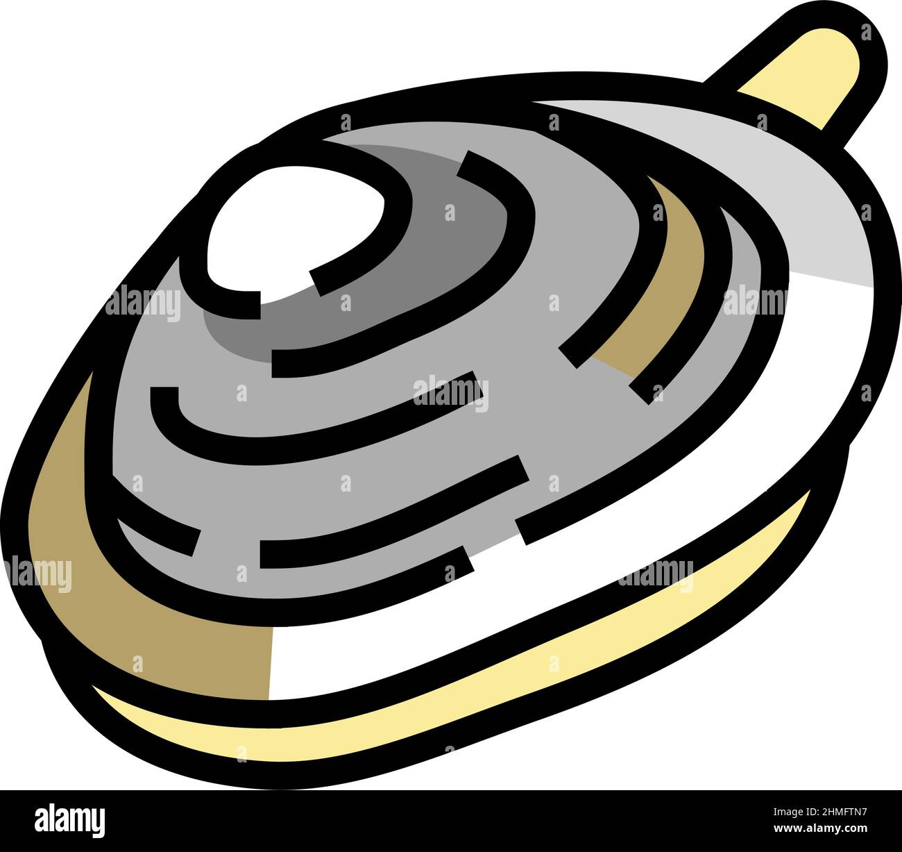 Razor clam illustration Stock Vector Images - Alamy