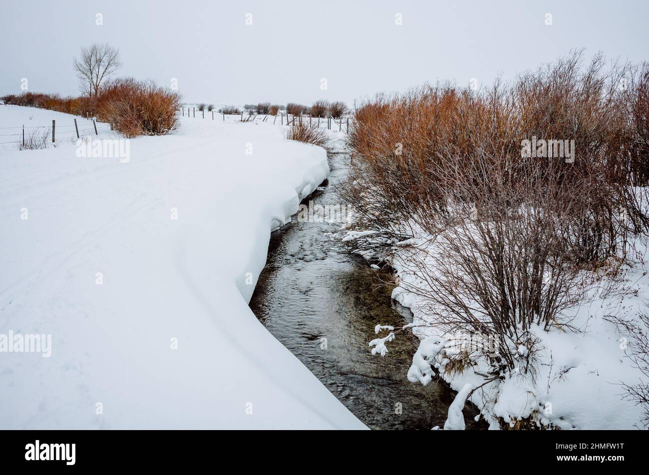 Winter scene of winding creek through snow covered fields on border of ...