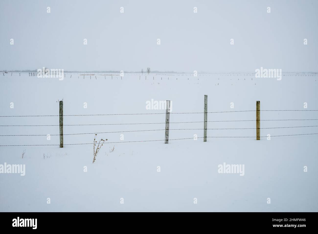 Old rural fence posts with barbed wire snow covered field Stock Photo ...