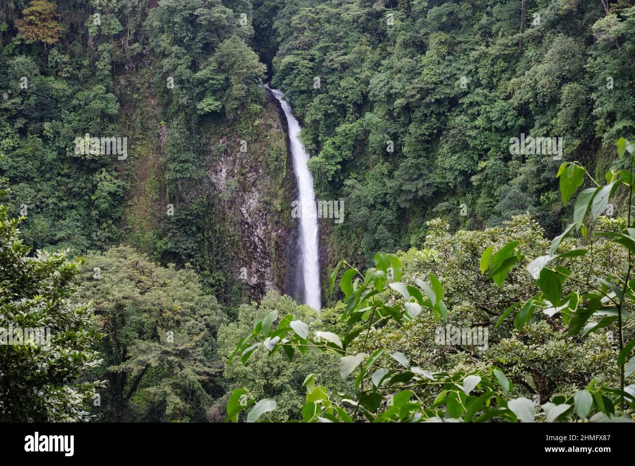 Wide shot of La Fortuna Waterfall in the middle of rainforests near ...