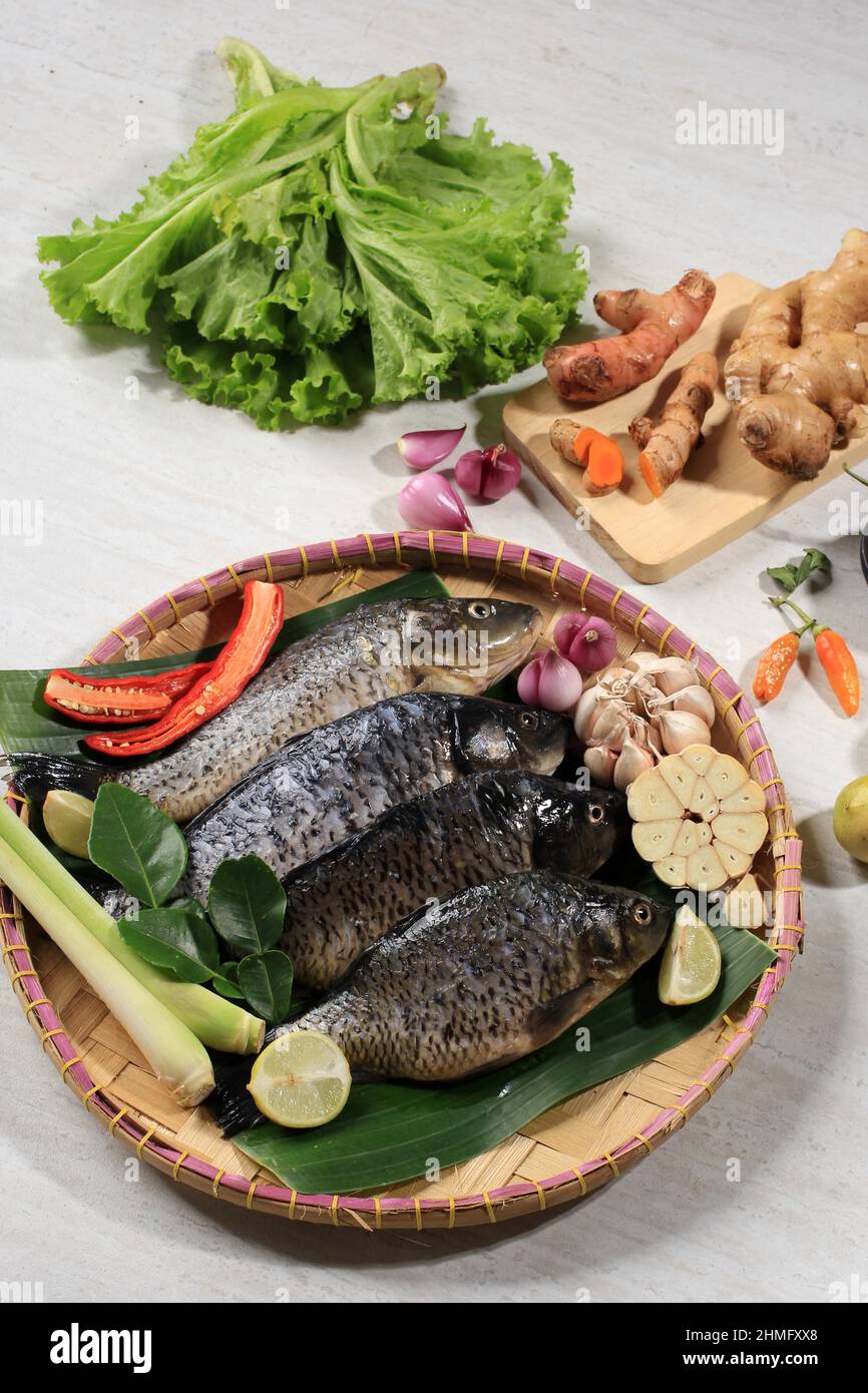 Raw Gold Fish Cyprinus carpio with Spice before Cook. Making Asian Menu ...