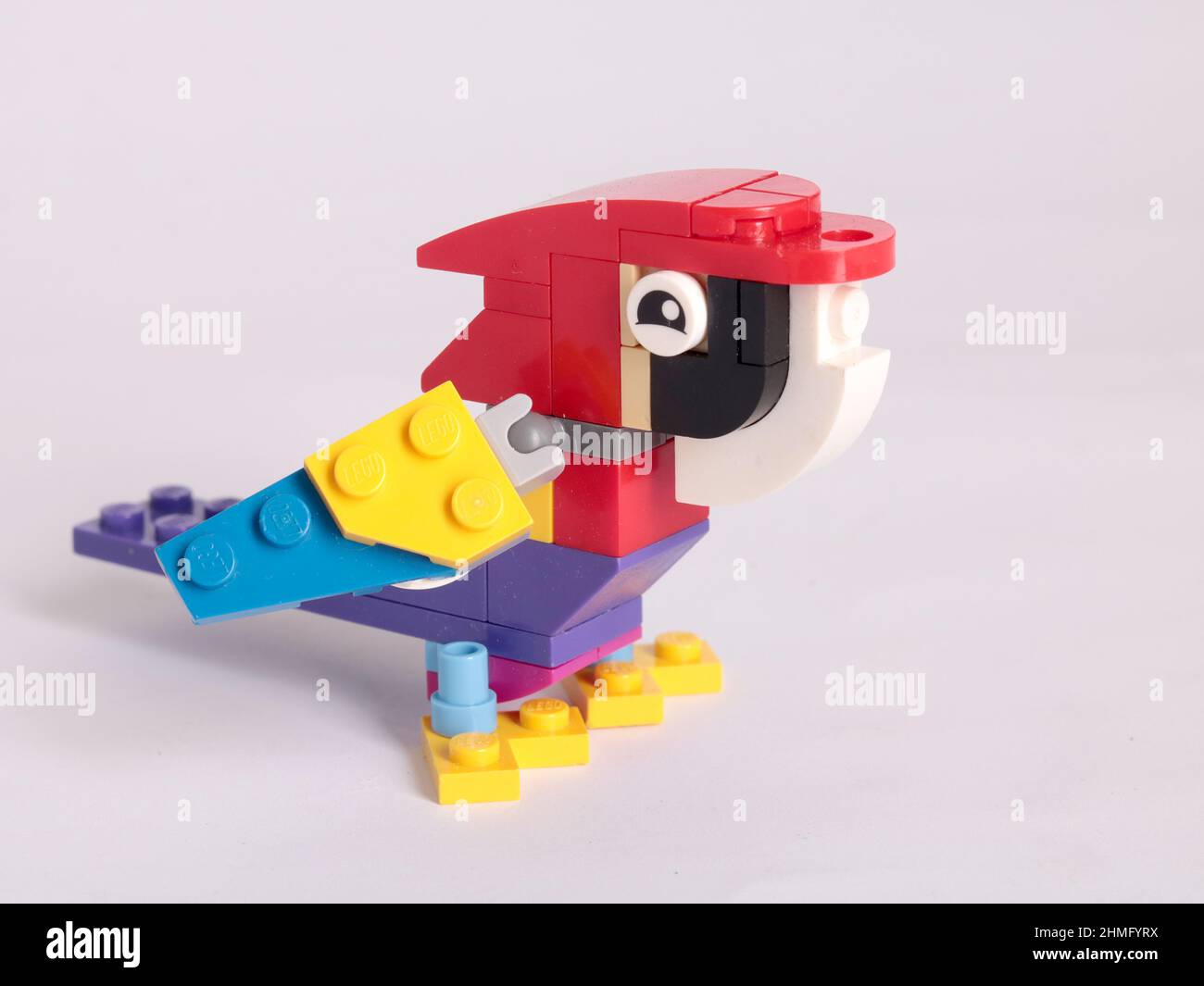 Creation made Parrot animal bird from brick toys Stock Photo - Alamy