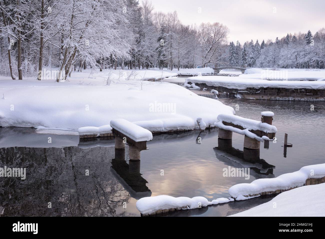 Beautiful winter landscape.The forest is cold and there is snow ...