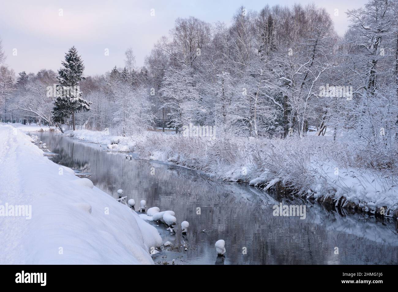 Beautiful winter landscape.The forest is cold and there is snow ...