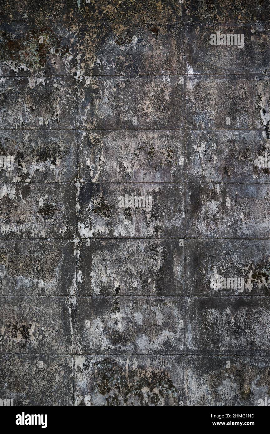 Old gray brick wall texture background Stock Photo - Alamy