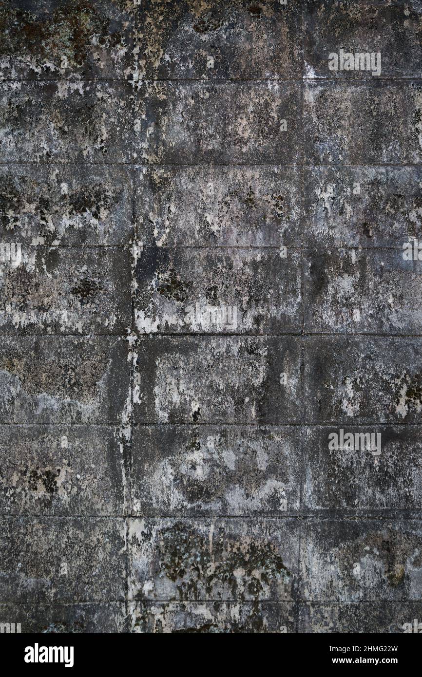 Old gray brick wall texture background Stock Photo - Alamy