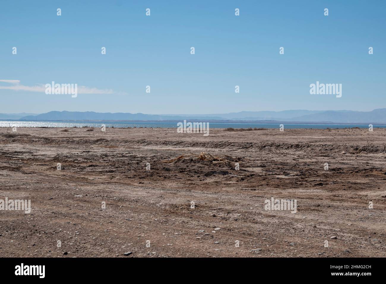 Bombay Beach is a haven for artwork on the shoreline of Salton Sea in ...