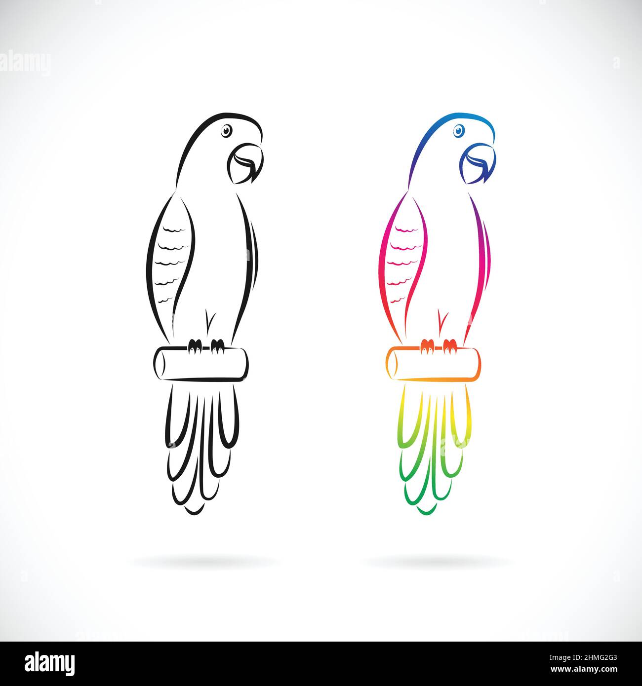 Vector of two parrot design on white background. Easy editable layered ...
