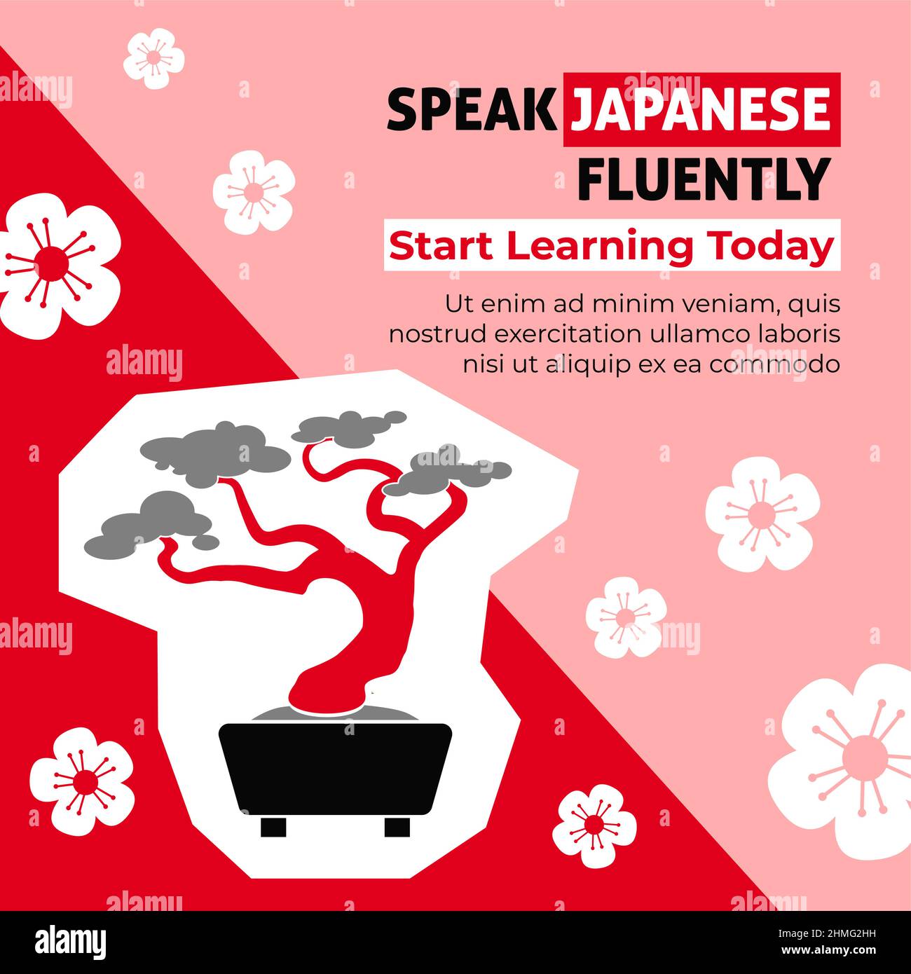 Japanese Language Learning