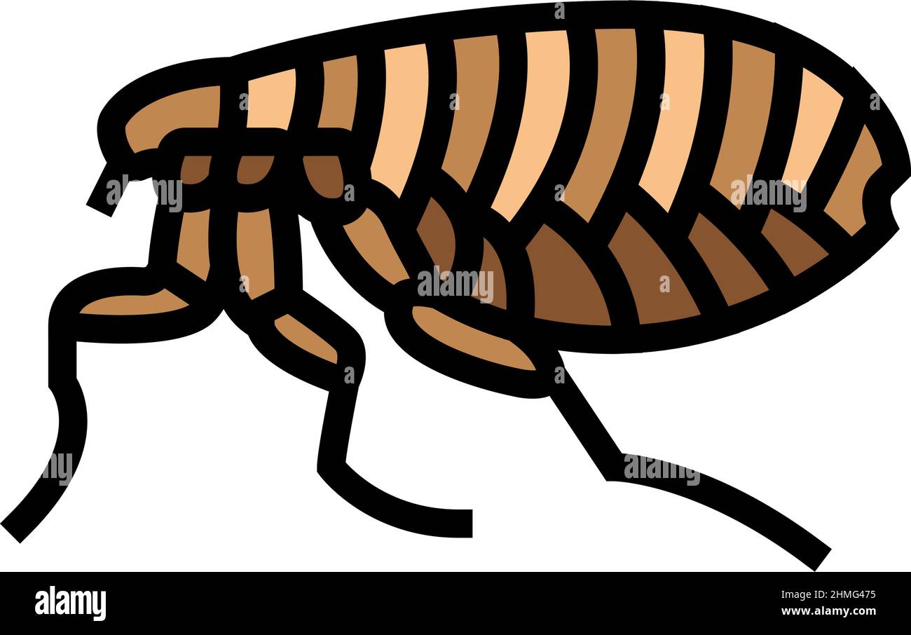 flea insect color icon vector illustration Stock Vector Image & Art - Alamy