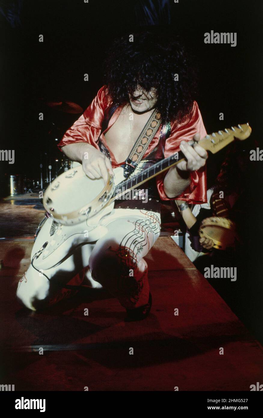 T rex band hi-res stock photography and images - Alamy